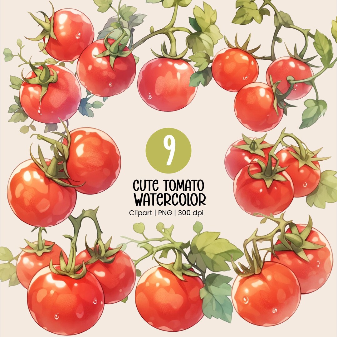 SET OF 9 PNG Watercolor Tomato Clip Art in Soft Pastel Colors - Fresh ...