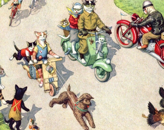Mainzer Dressed Cats, Motorcycles, Bicycles, Scooters, Vintage Postcard ...