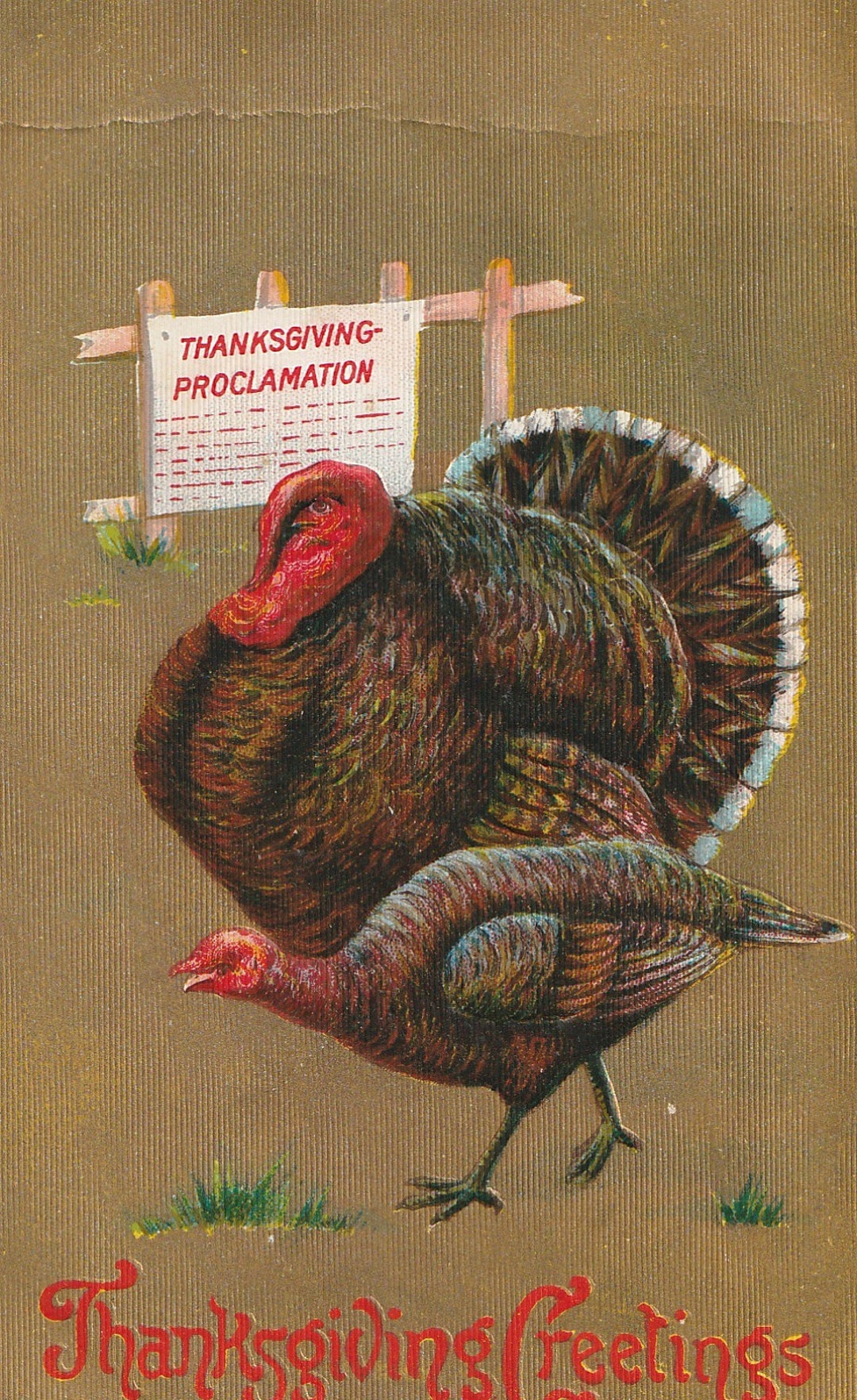 Thanksgiving Proclamation Turkey Greetings Post Card, Antique Holiday ...