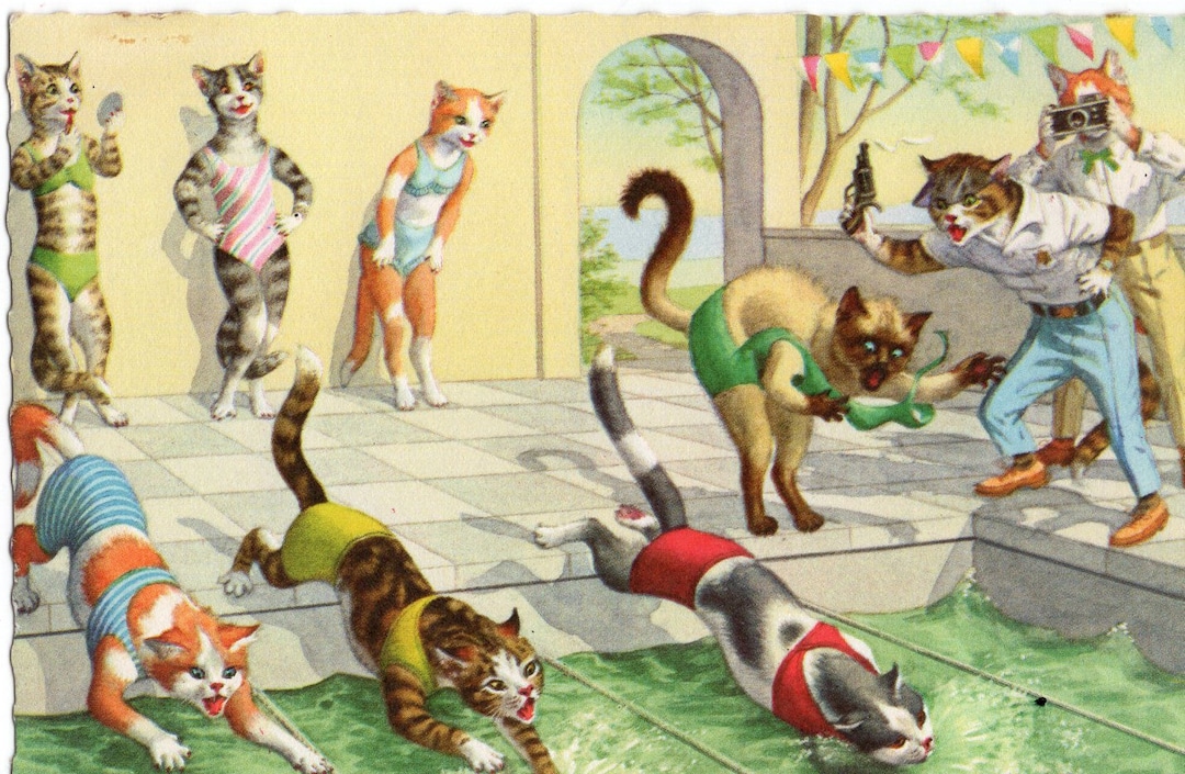 Mainzer Cat Postcard, Swim Meet Mainzer Dressed Cats, Postcard No. 4953 ...