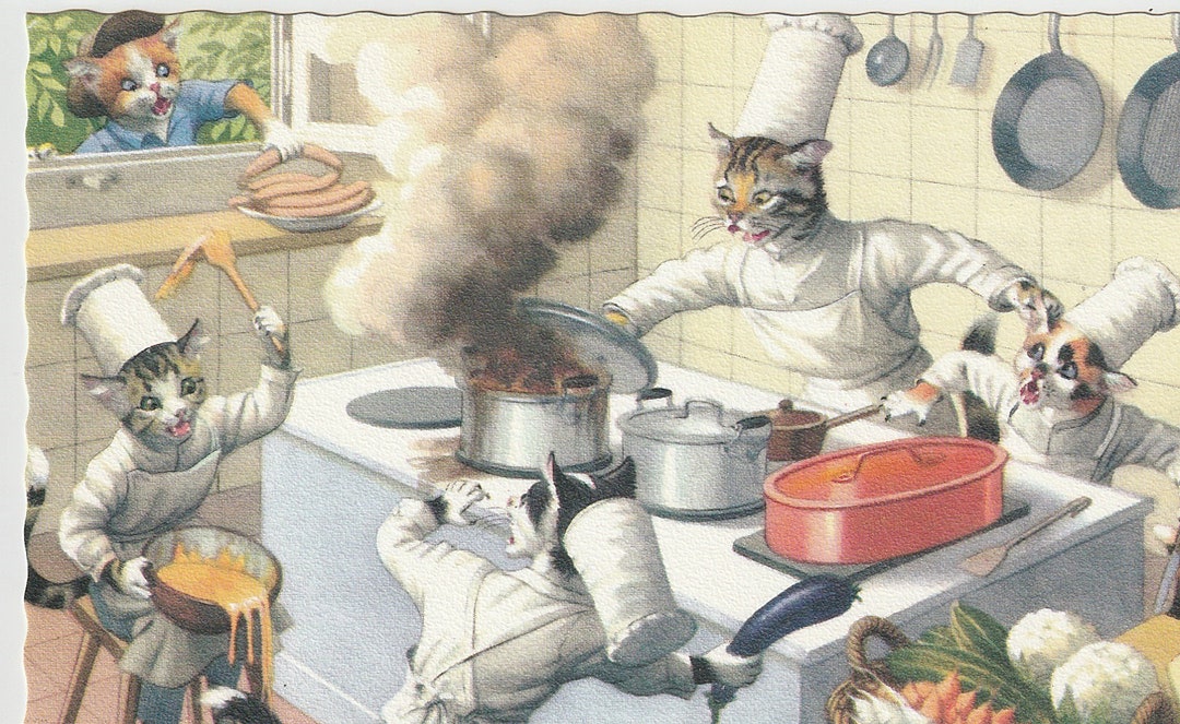Mainzer Postcard, Too Many Cat Chefs Cooking in the Kitchen. Mainzer ...