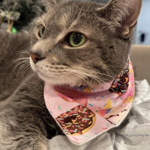 Cat Bandana, Bandanas for Cats, Pet Scarf, Cat Accessories, Cat Gifts ...