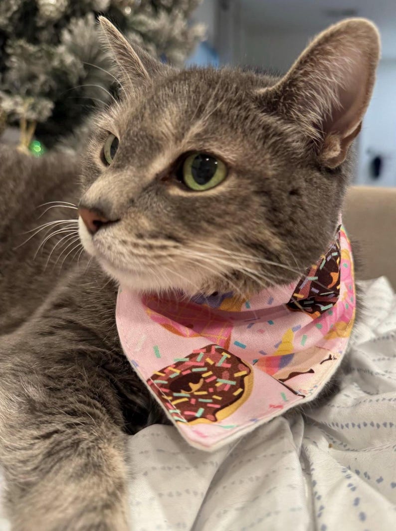 Cat Bandana, Bandanas for Cats, Pet Scarf, Cat Accessories, Cat Gifts ...