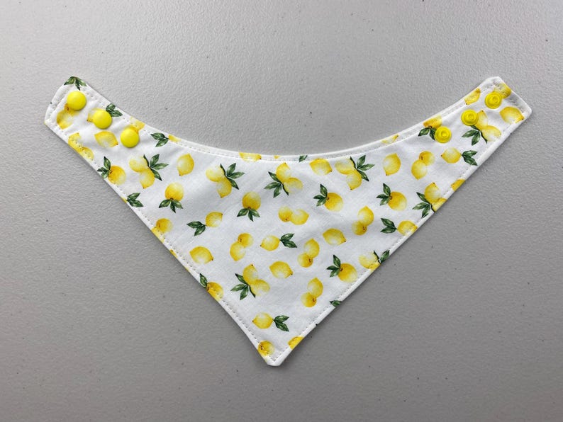 Cat Bandana, Bandanas for Cats, Pet Scarf, Cat Accessories, Cat Gifts ...