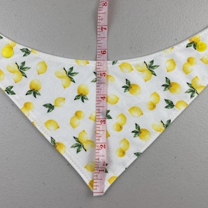 Cat Bandana, Bandanas for Cats, Pet Scarf, Cat Accessories, Cat Gifts ...