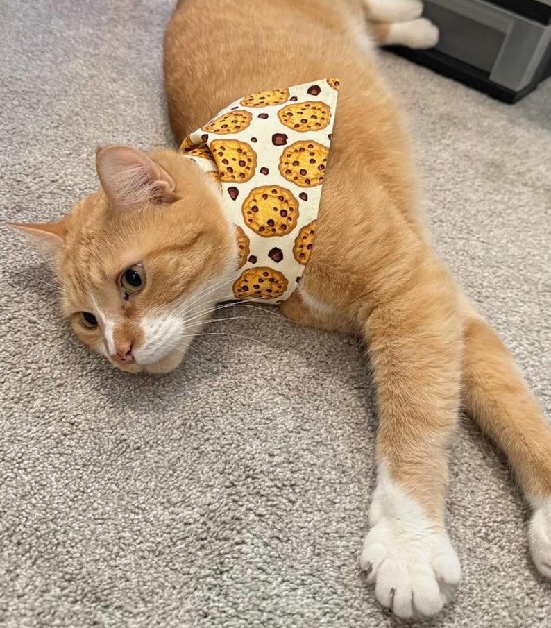 Cat Bandana, Bandanas for Cats, Pet Scarf, Cat Accessories, Cat Gifts ...