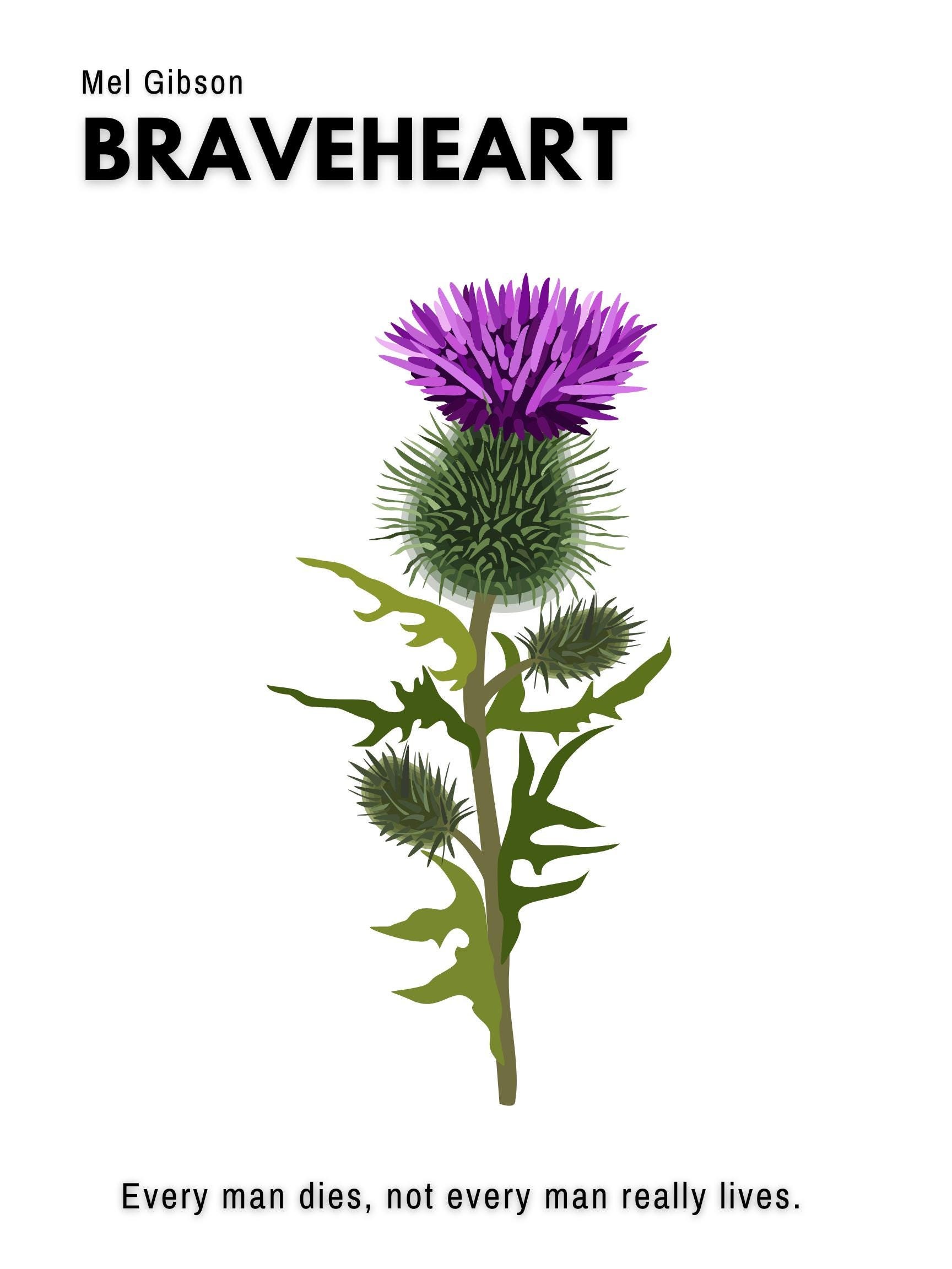Alternate Braveheart Poster | Minimalistic Movie Print - Etsy