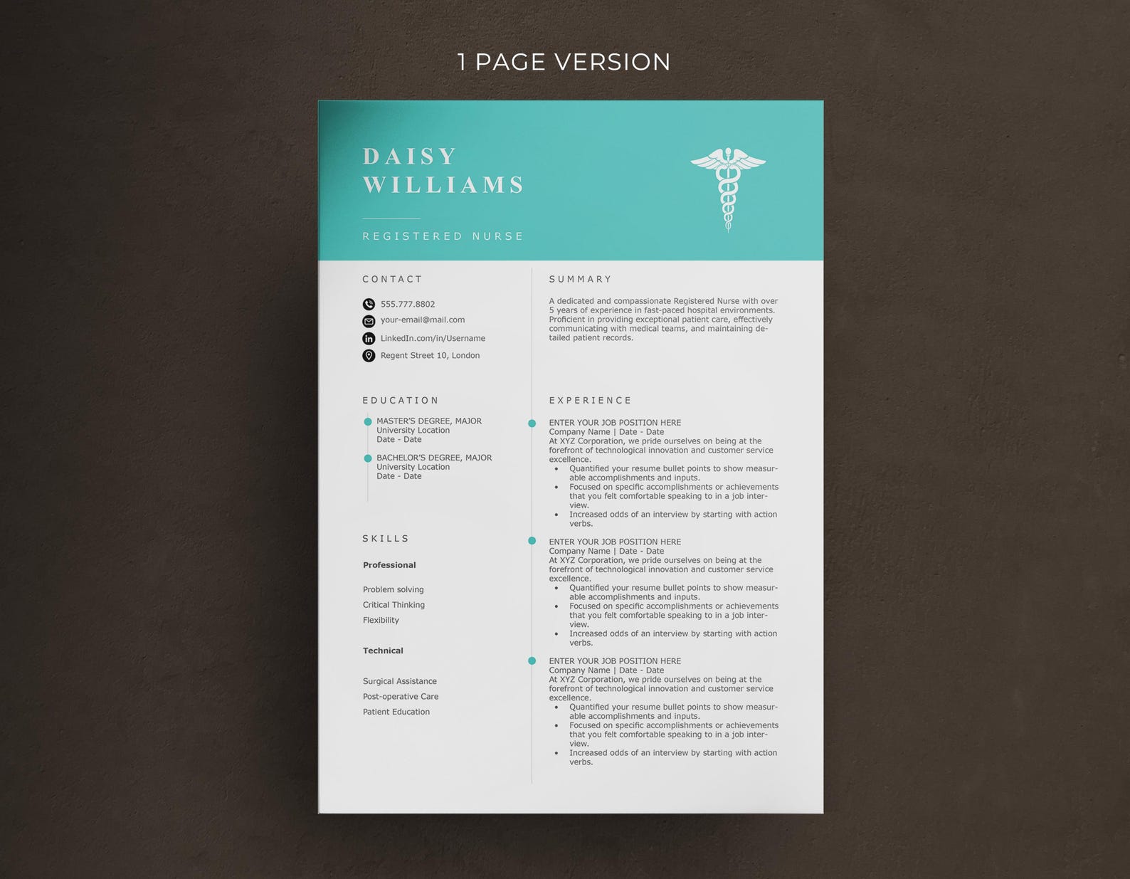 Editable Nurse Resume Template | Indesign, Word, Google Docs, Canva ...