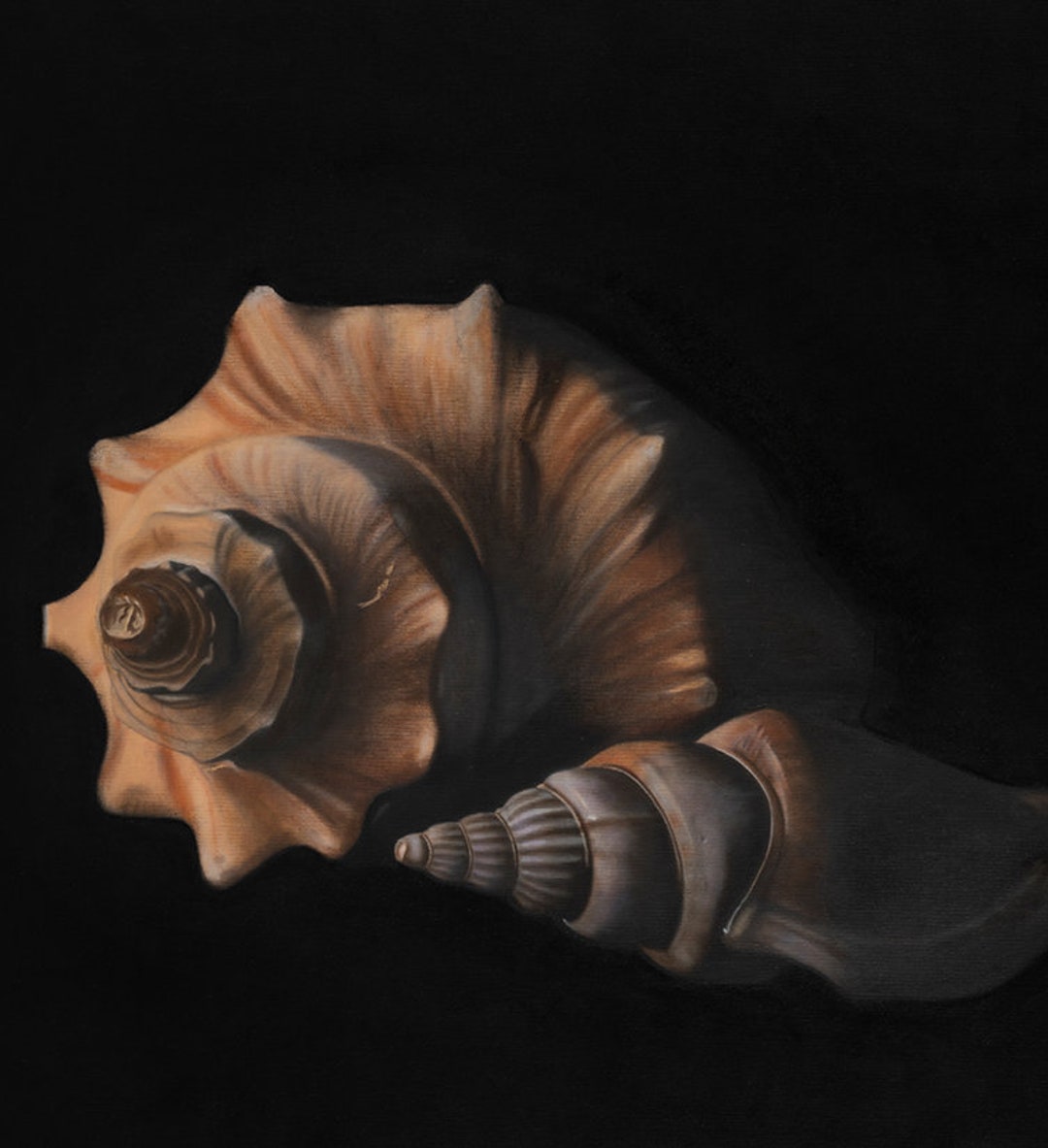 Serene Seashells Realistic Oil Art in Minimalist Style for Your Space ...
