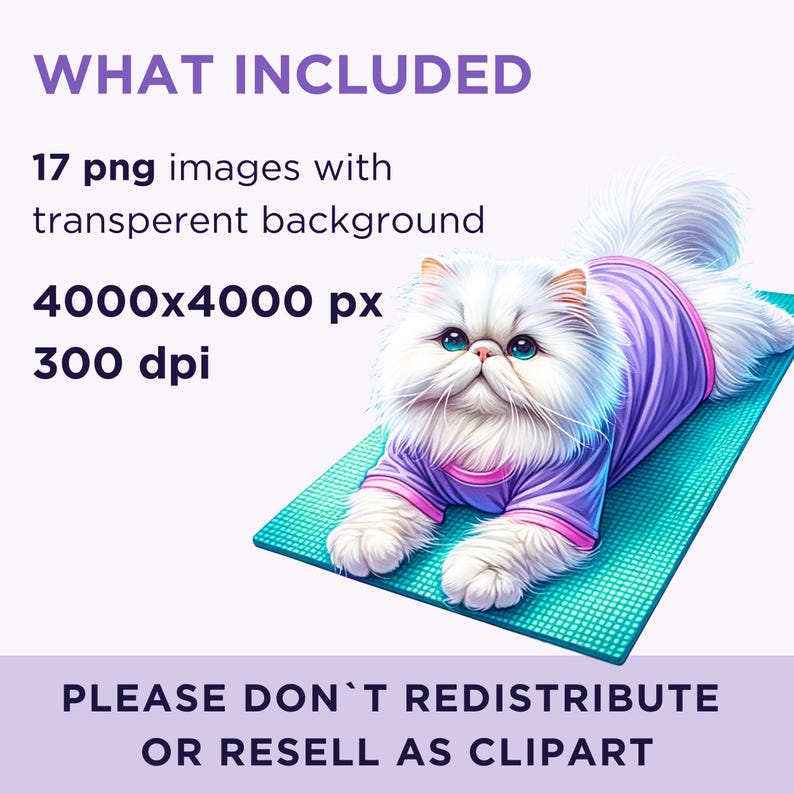 Sport Cats Clipart Set, Pilates Cat PNG (digital Download) - Etsy
