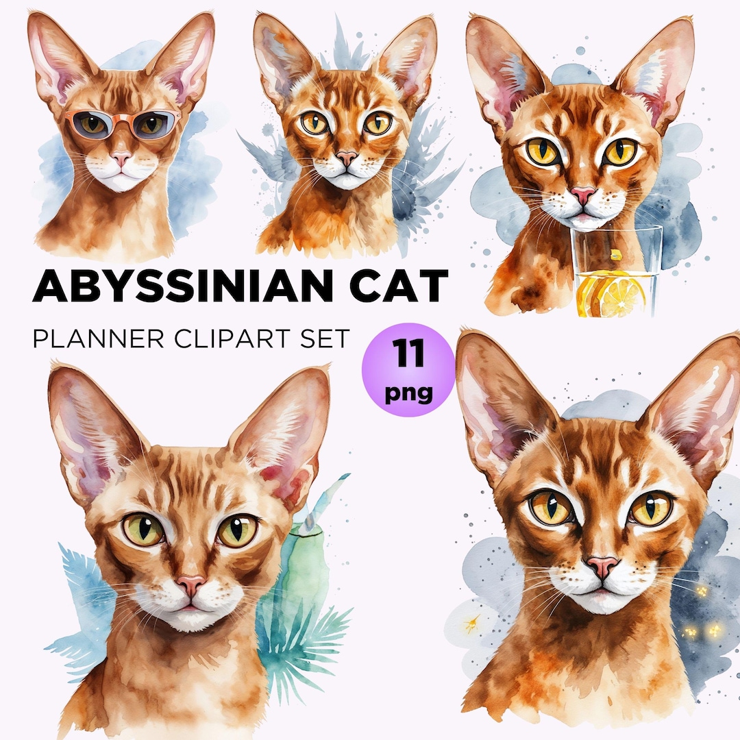 Abyssinian Cat Art Clipart Pack, Watercolor Cat Breed PNG for DIY Craft ...