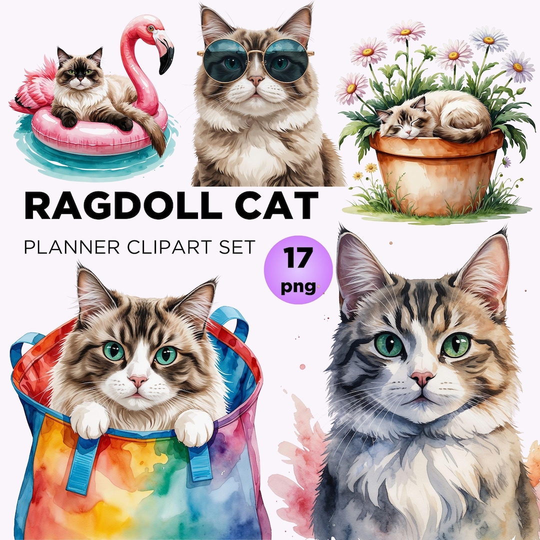 Ragdoll Cat Clipart Set, Watercolor Ragdoll Kitten Art PNG for Craft ...