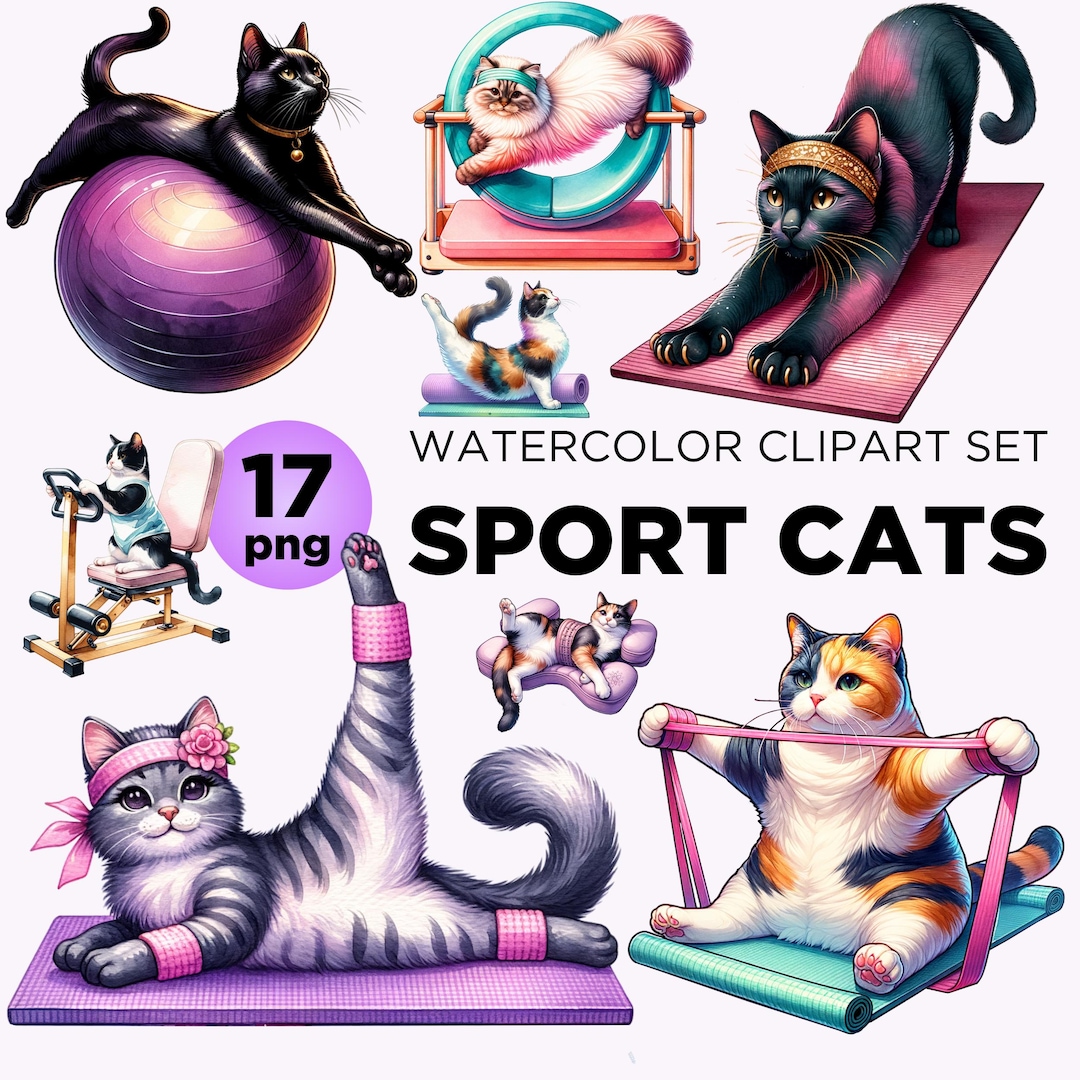 Sport Cats Clipart Set, Pilates Cat PNG (digital Download) - Etsy