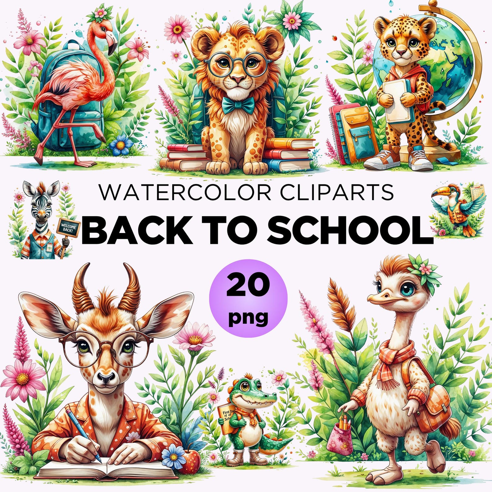 Safari Animals Back to School Clipart: Jungle Classroom Decor (PNG ...
