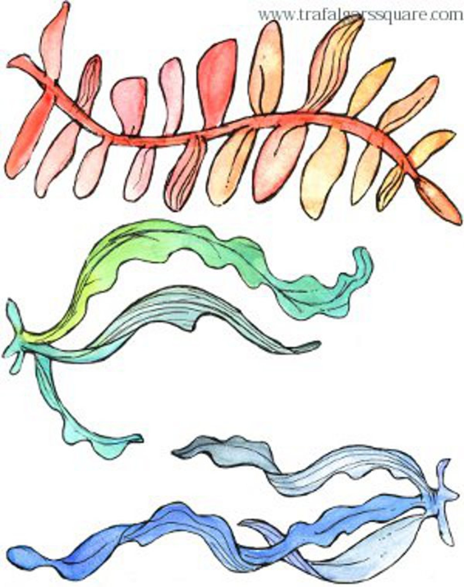 Ocean Art Sea Animals Briny Buddies Set A Wall Decal Kit - Etsy