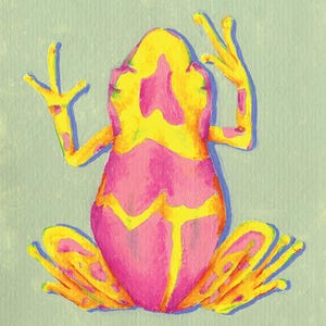 Vibrant Frog Prints Whimsical 5x7 Acrylic Painting Reproduction 611 - Etsy