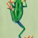 Vibrant Frog Prints Whimsical 5x7 Acrylic Painting Reproduction 611 - Etsy
