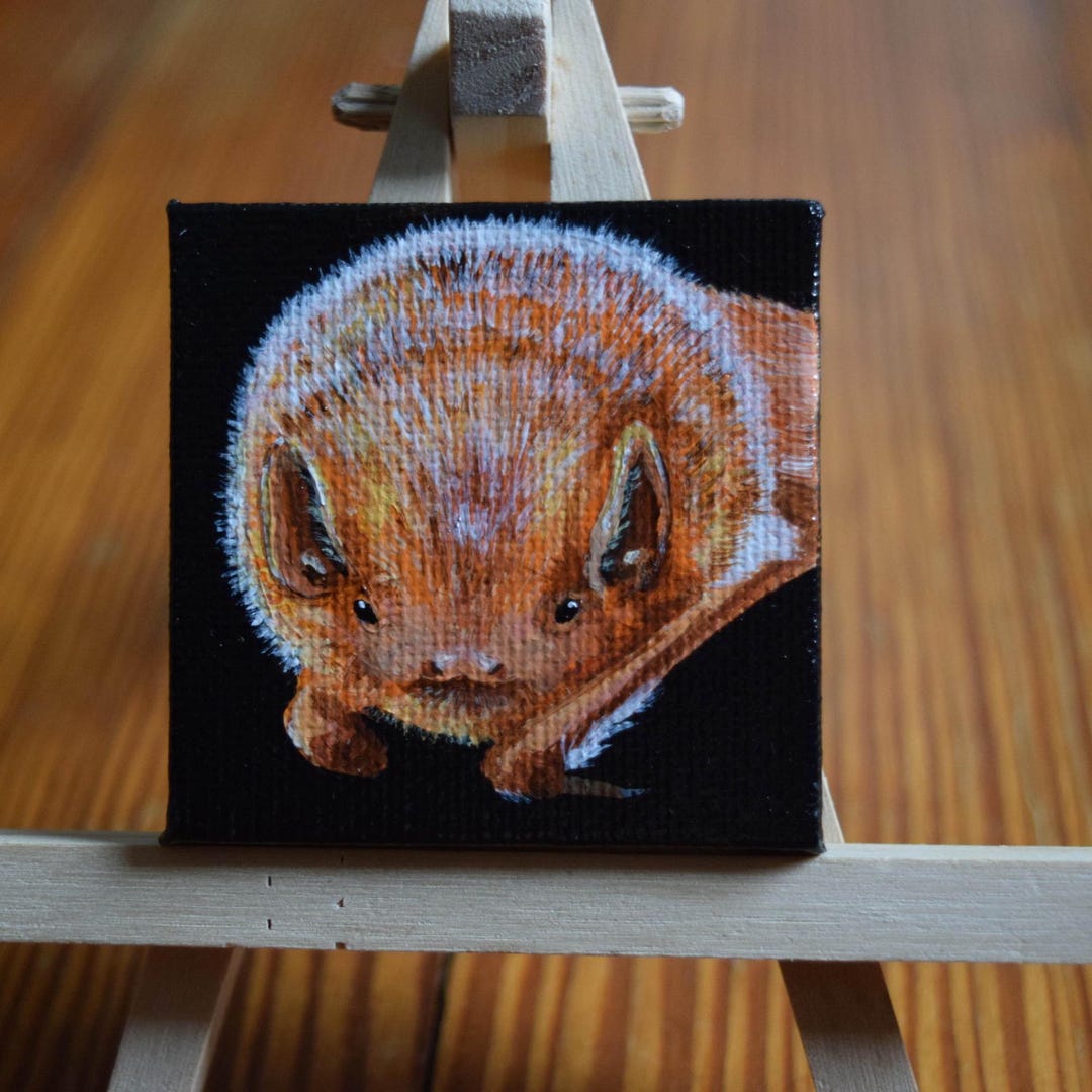 Cute Eastern Red Bat acrylic Painting - Etsy