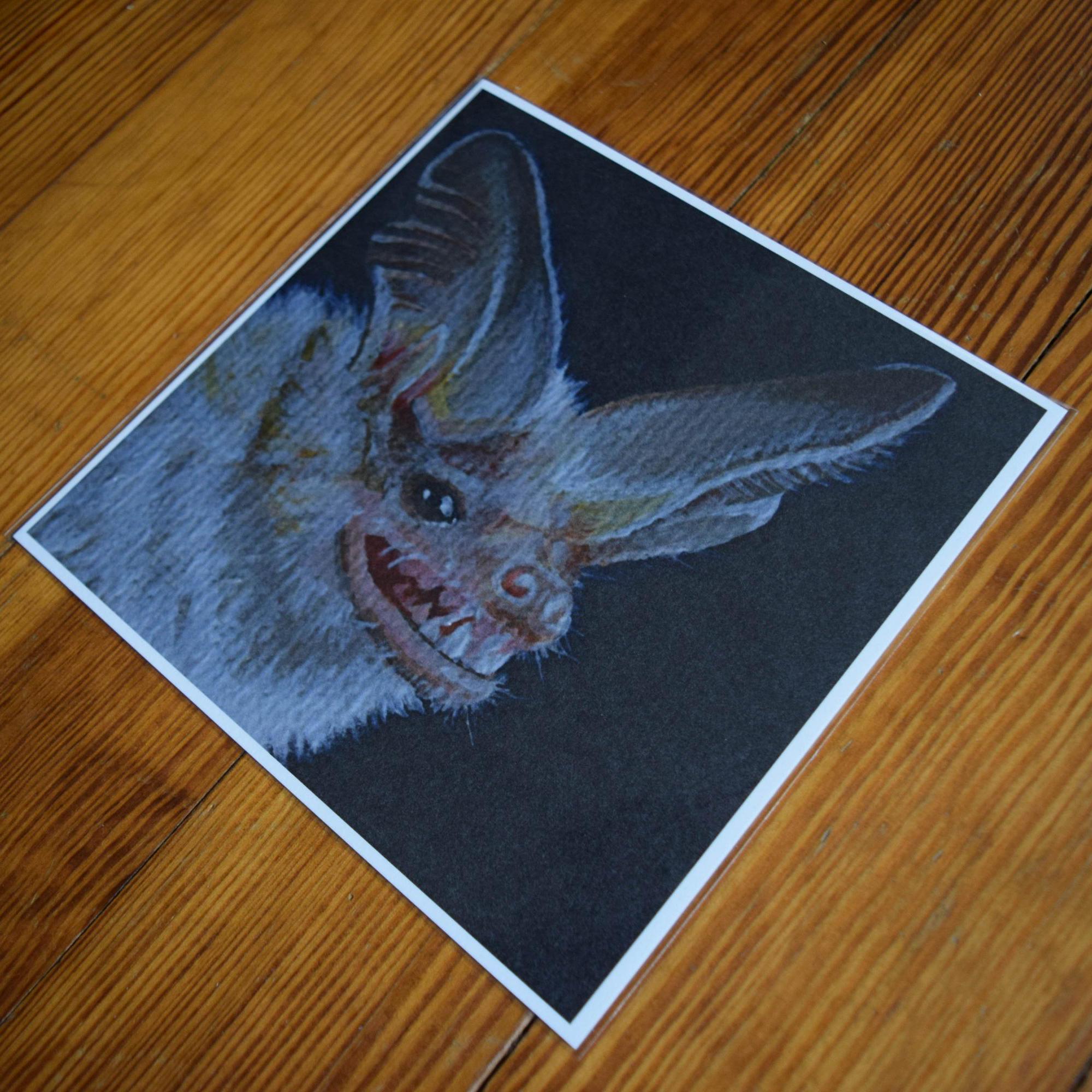 Pallid Bat [art Print] - Etsy