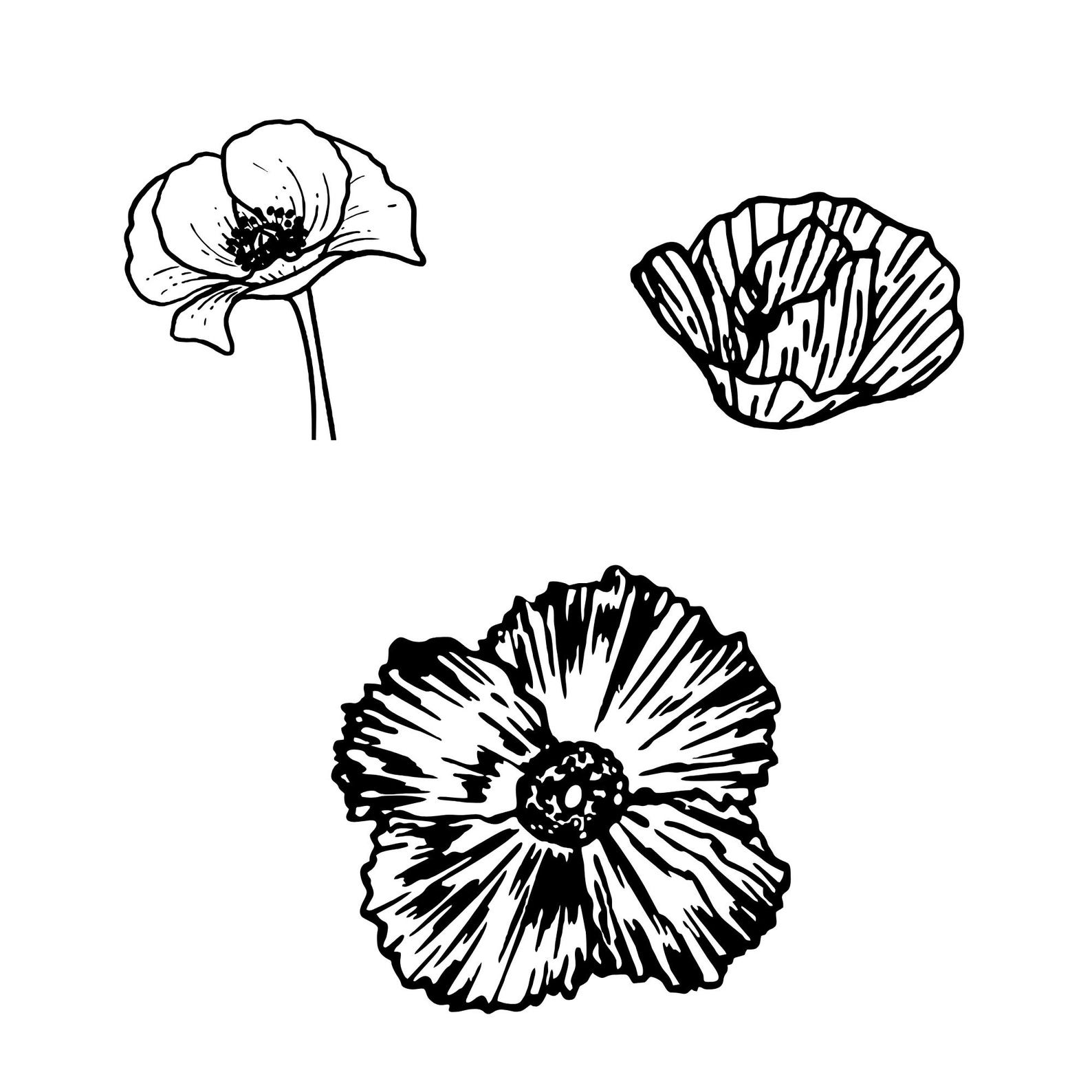 Poppy Svg Bundle, Floral Clipart, Poppy Vector, Remembrance Day Decal ...