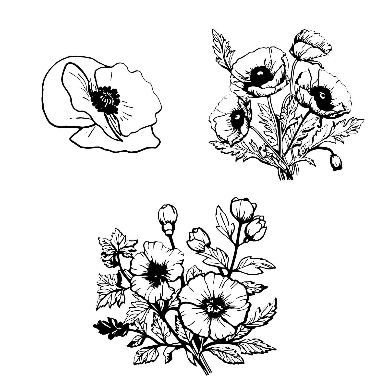 Poppy Svg Bundle, Floral Clipart, Poppy Vector, Remembrance Day Decal ...