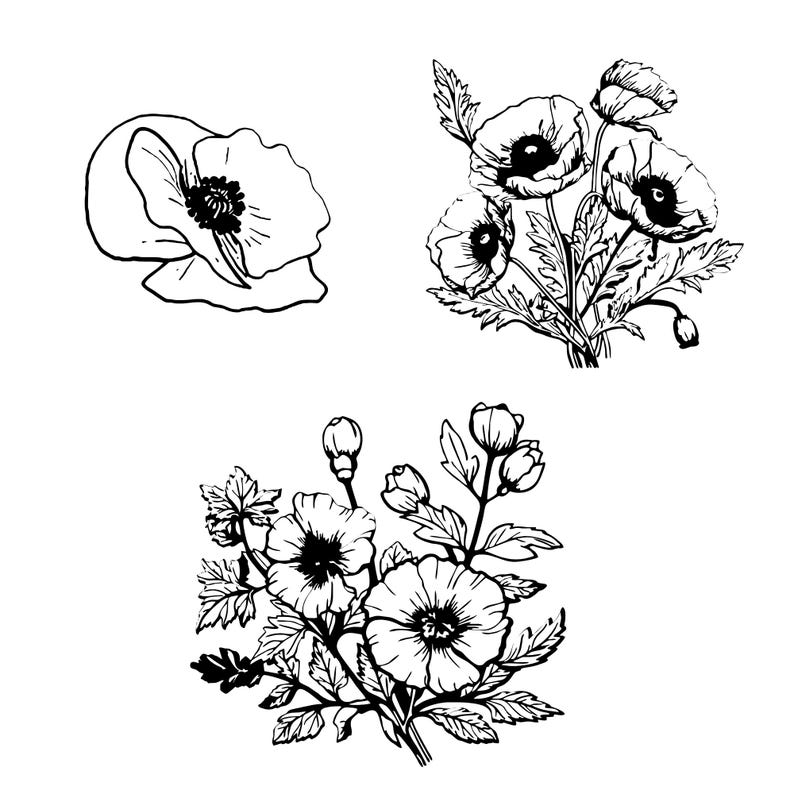 Poppy Svg Bundle, Floral Clipart, Poppy Vector, Remembrance Day Decal ...