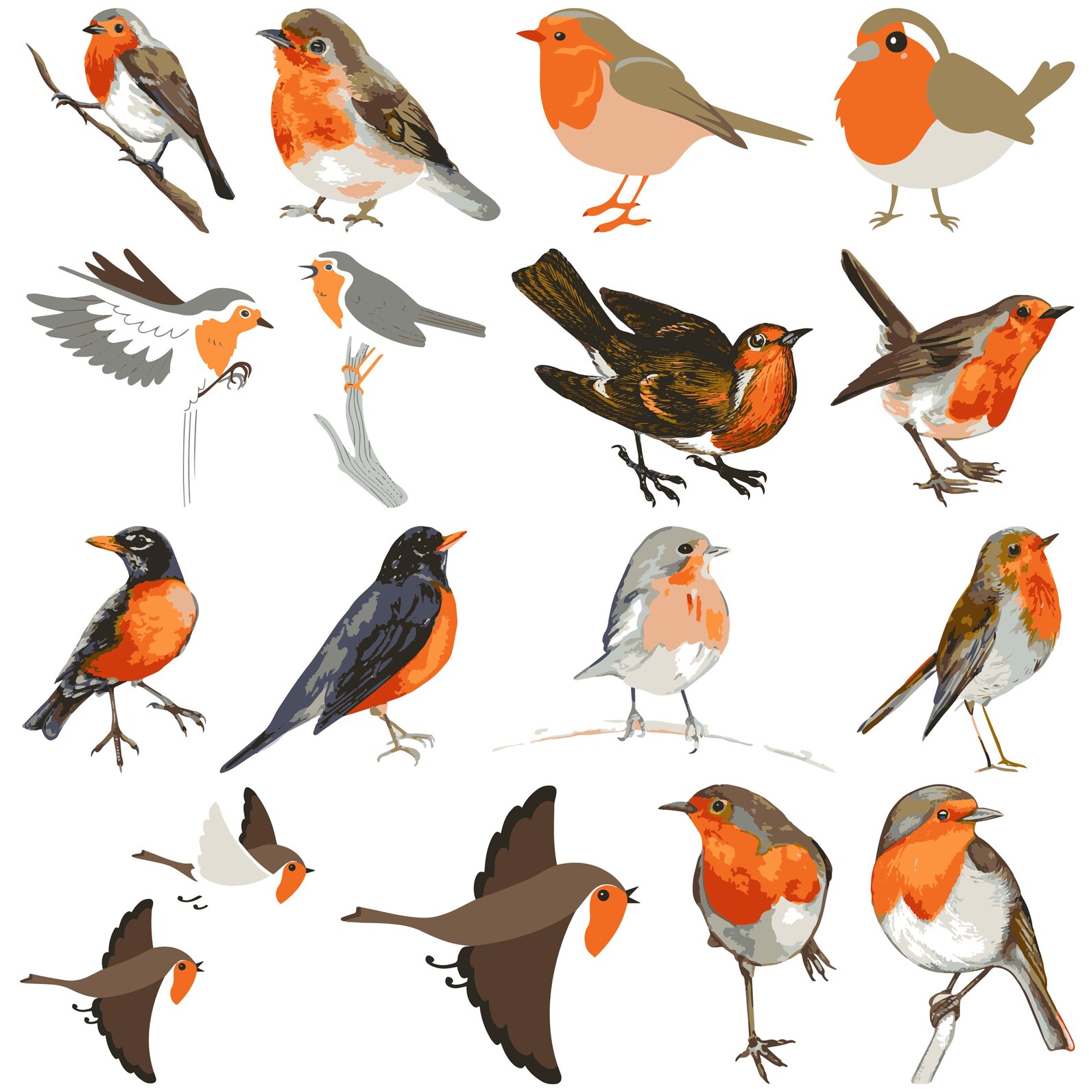 Robin Bird SVG Bundle, Robin Bird Eps, Robin Bird Vector, Robin Bird ...