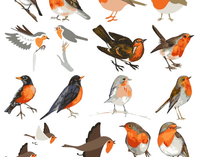 Robin Bird SVG Bundle, Robin Bird Dxf, Robin Bird Png, Robin Bird Eps ...