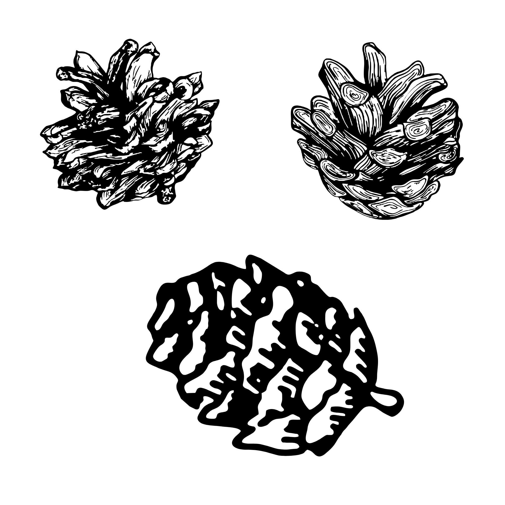 Pinecone Svg Bundle, Cone Clipart, Pine Tree Vector, Conifer Cone Decal ...