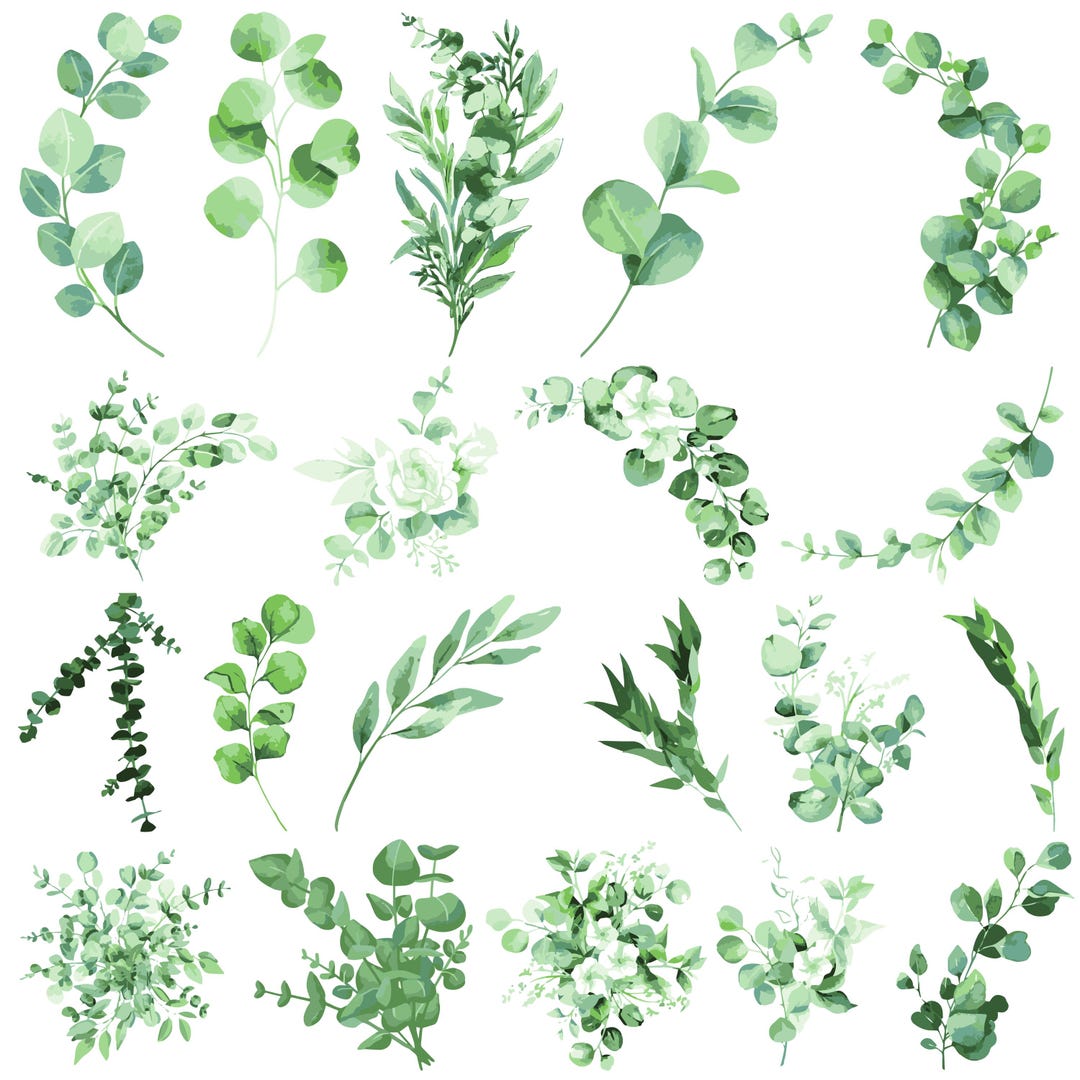 Eucalyptus Svg Bundle, Eucalyptus Vector, Eucalyptus Outline ...
