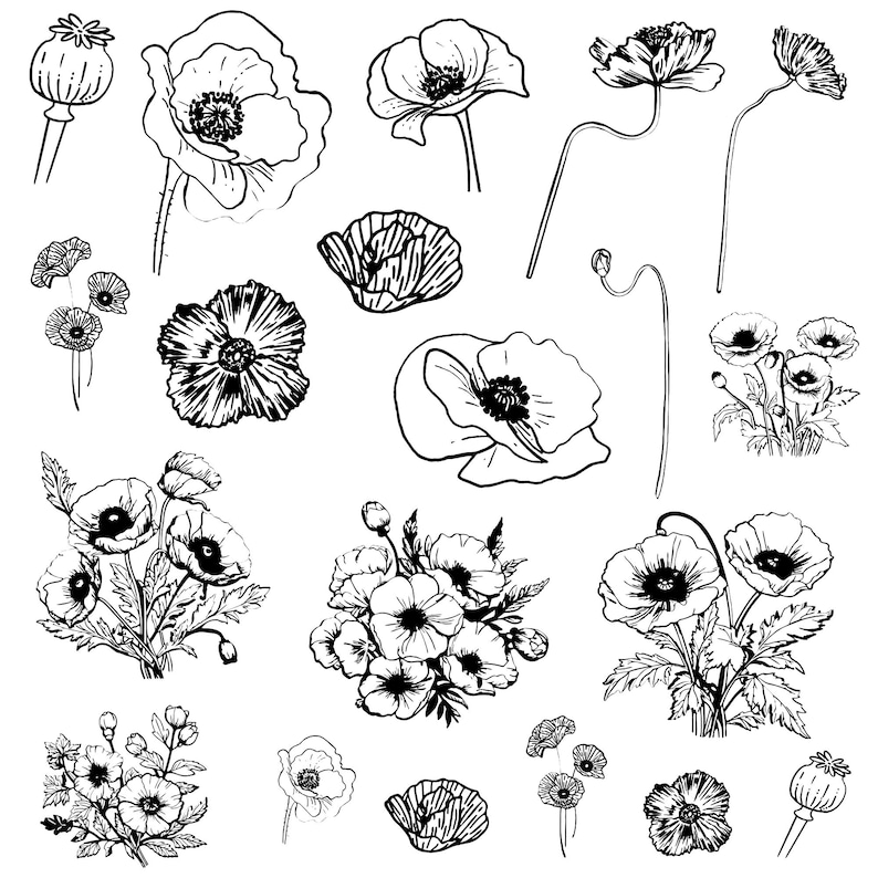 Poppy Svg Bundle, Floral Clipart, Poppy Vector, Remembrance Day Decal ...