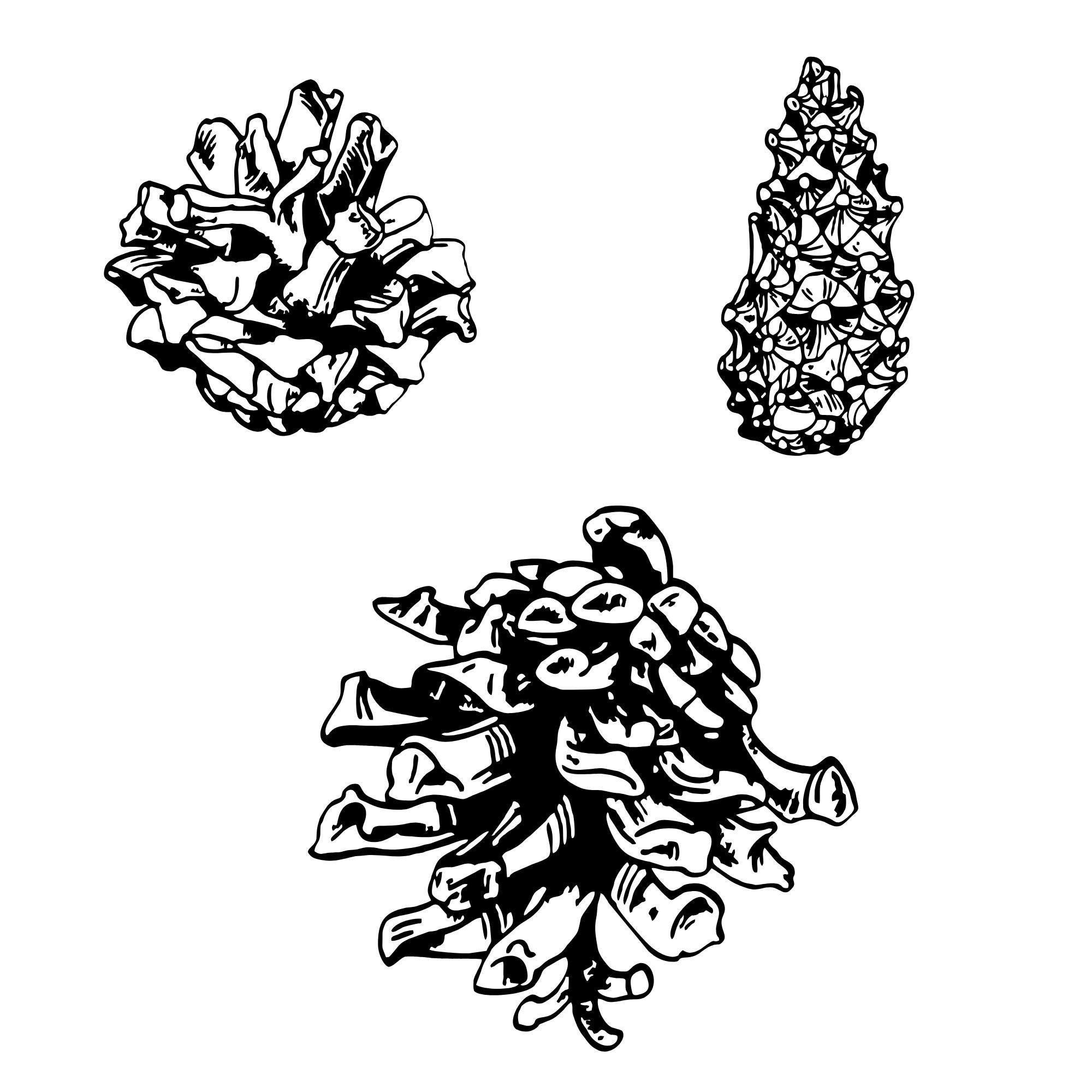 Pinecone Svg Bundle, Cone Clipart, Pine Tree Vector, Conifer Cone Decal ...
