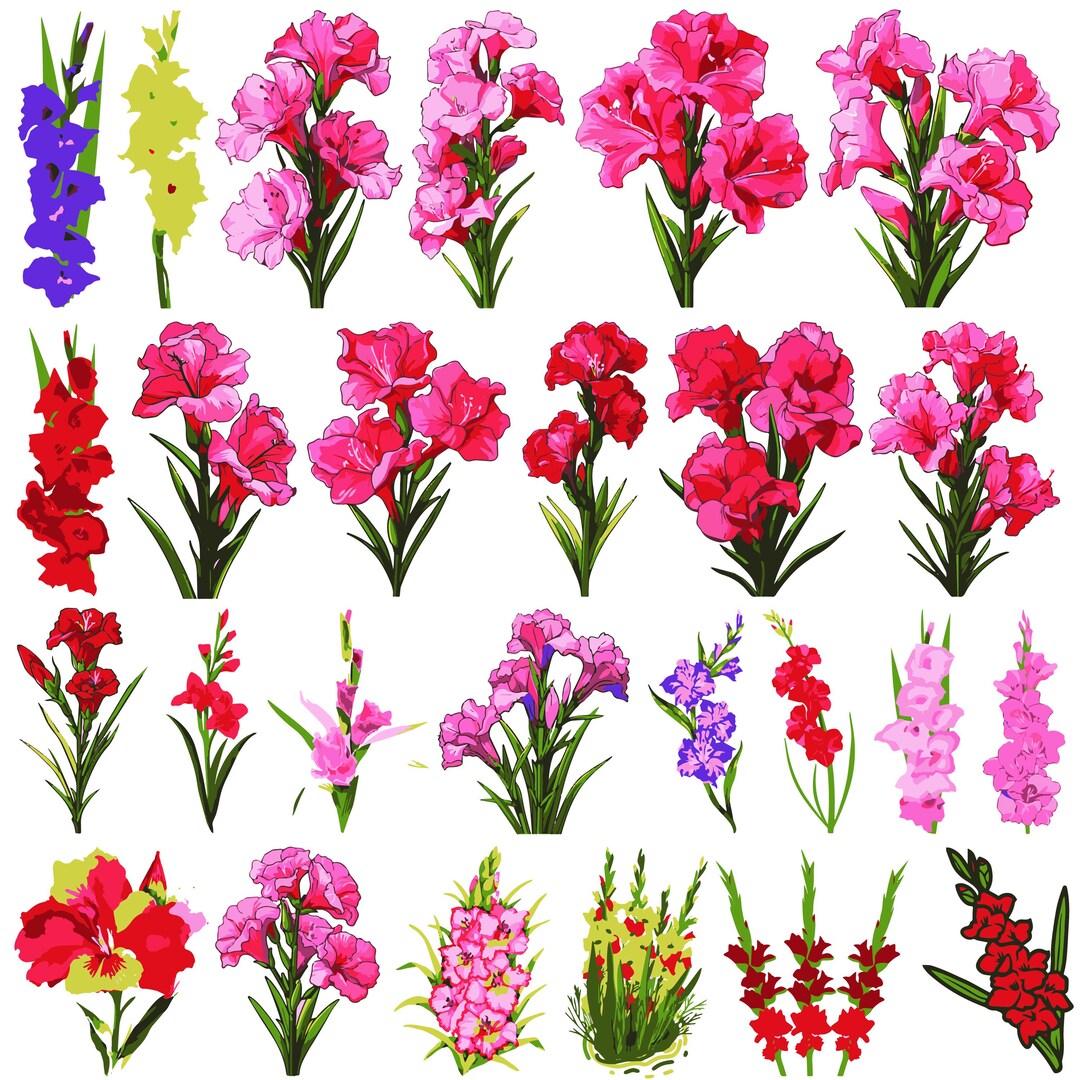 Gladiolus Svg, Gladiolus Clipart, Flower Svg, Gladiolus Vector ...