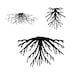 Tree Roots Svg Bundle, Roots Clipart, Roots Vector, Tree Roots Decal ...