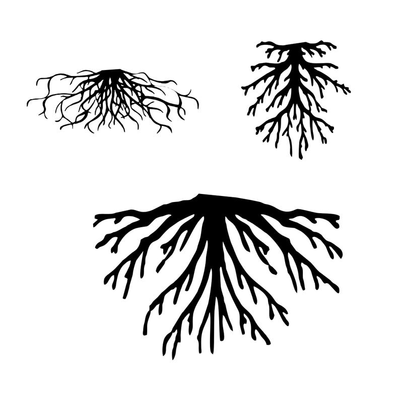 Tree Roots Svg Bundle, Roots Clipart, Roots Vector, Tree Roots Decal ...
