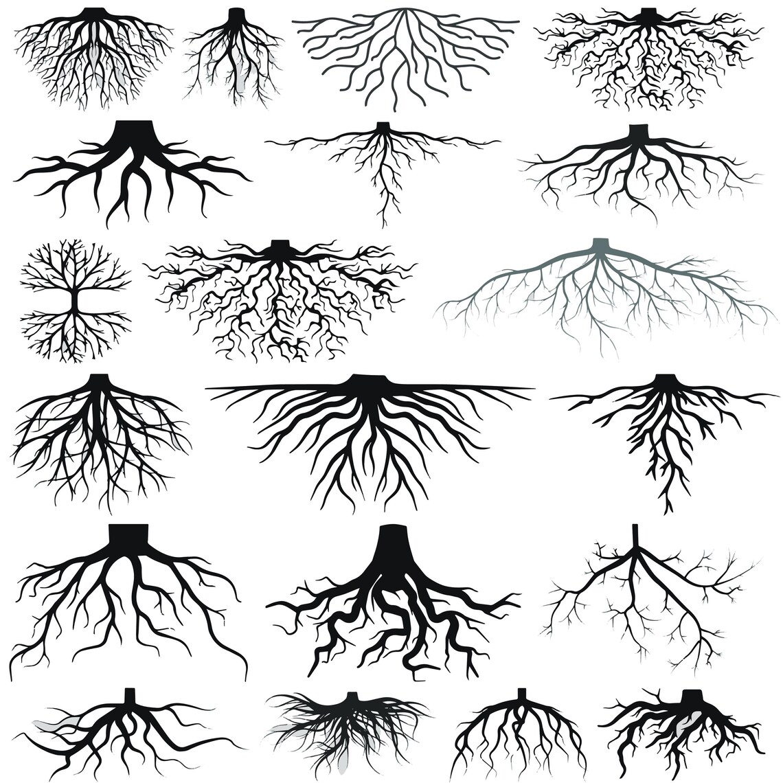 Tree Roots SVG, Roots Clipart, Roots Vector, Roots Silhouette, Ree ...