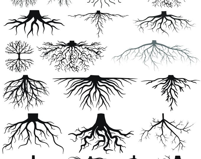 Root Svg, Roots Svg, Tree Roots Svg, Tree, Tree Lover, SVG, Ai, Pdf ...