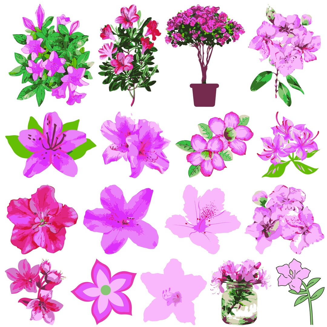 Azalea Flower SVG Bundle, Azalea Flower Png, Azalea Flower Vector ...