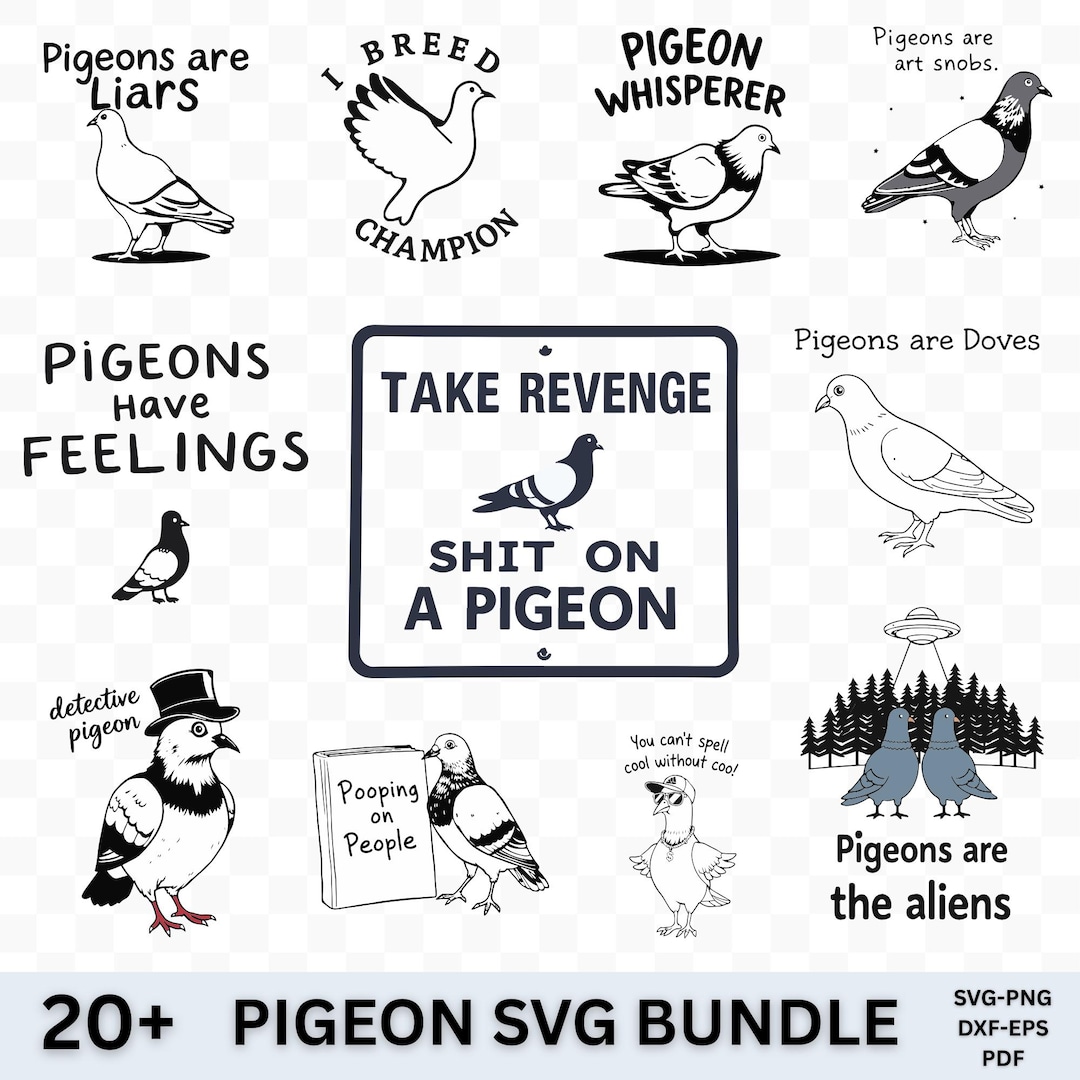 Pigeon Svg Bundle, Funny Quotes, Svg Files for Cricut, Pigeon Shirts ...