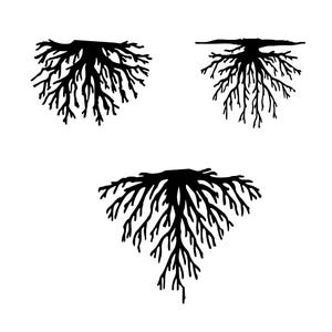 Tree Roots Svg Bundle, Roots Clipart, Roots Vector, Tree Roots Decal ...