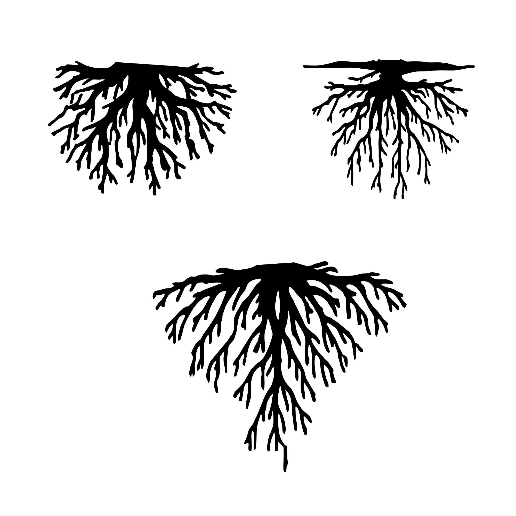 Tree Roots Svg Bundle, Roots Clipart, Roots Vector, Tree Roots Decal ...