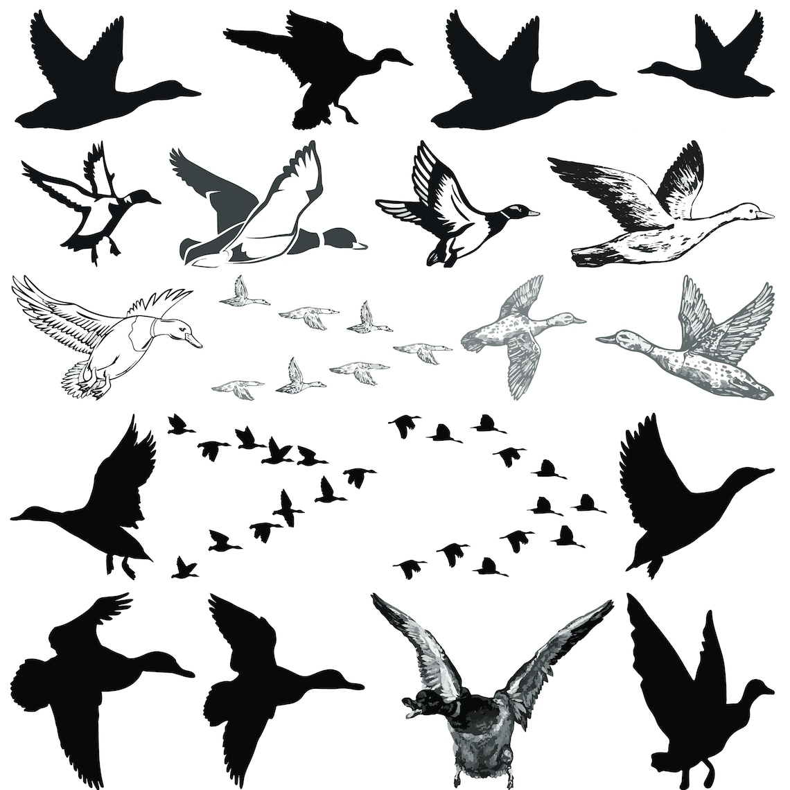 Flying Duck SVG Bundle, Flying Duck Vector, Flying Duck Outline, Flying ...