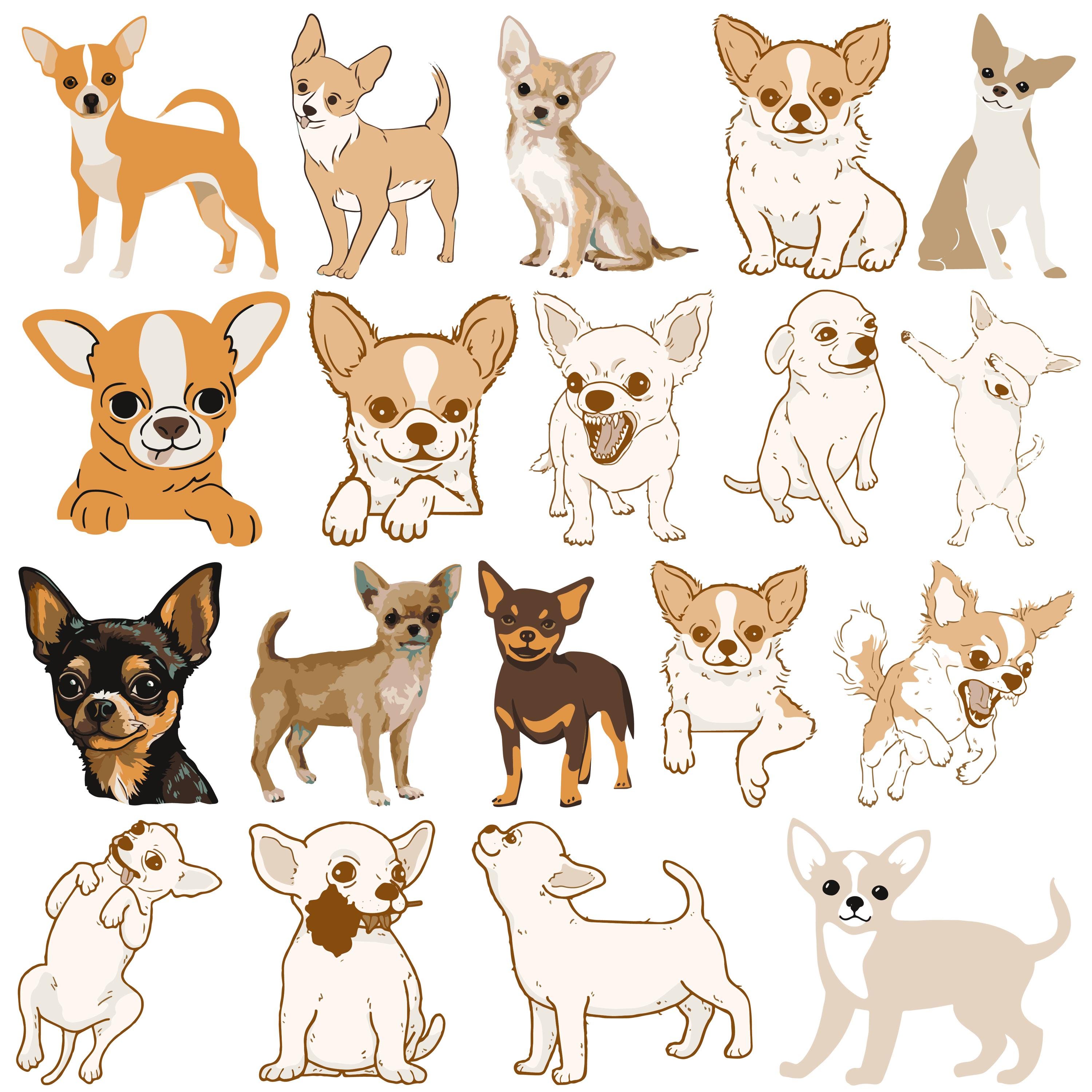 Chihuahua SVG Bundle, Chihuahua Clipart, Chihuahua Eps, Chihuahua Png ...