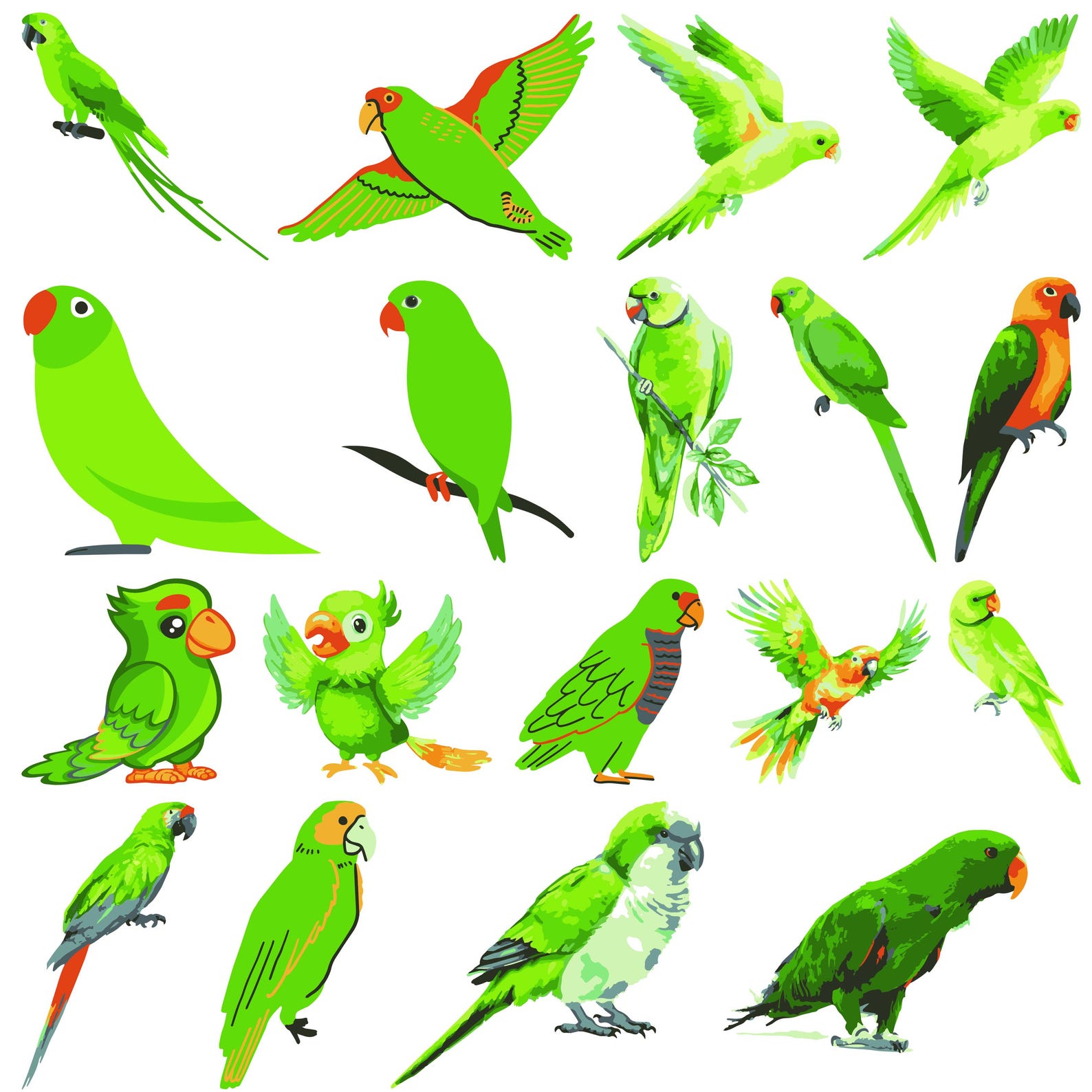 Parrot Svg Bundle, Parrot Silhouette, Parrot Kids, Parrot Cricut ...