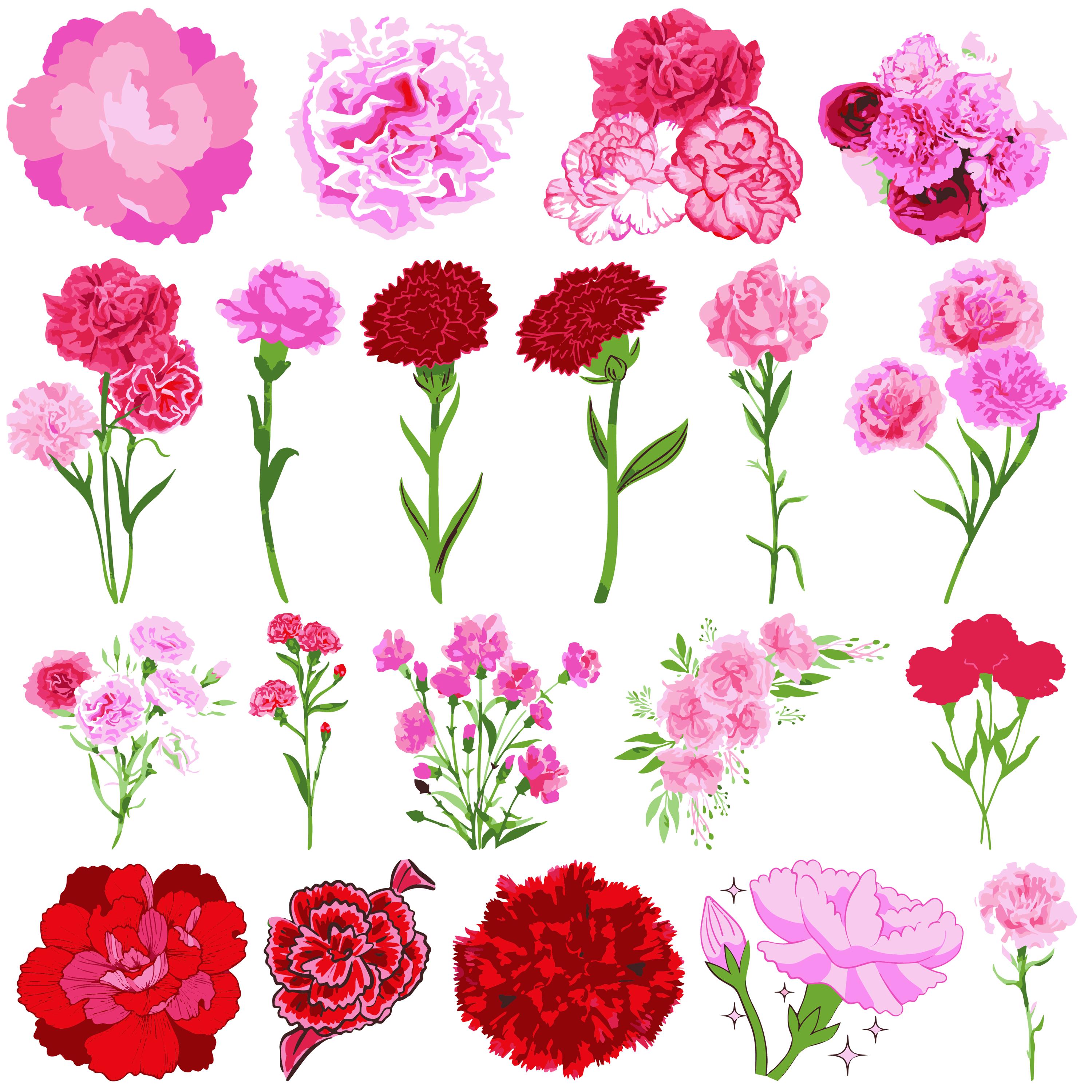 Carnation Flowers SVG, Carnation Bouquet Svg, Carnation Flower Cricut ...
