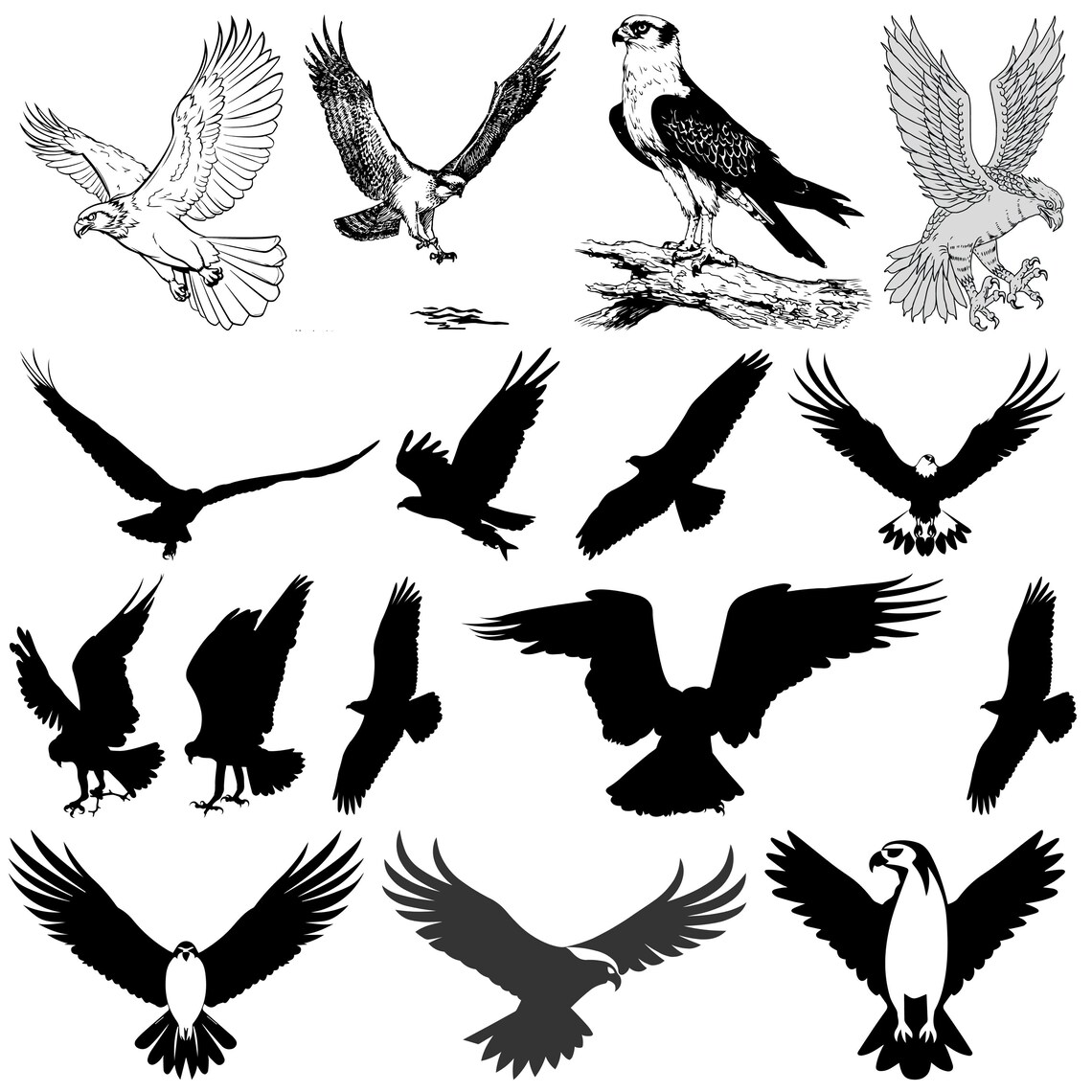 Osprey SVG Bundle, Osprey Vector, Osprey Clipart, Eagle Svg, Predator ...