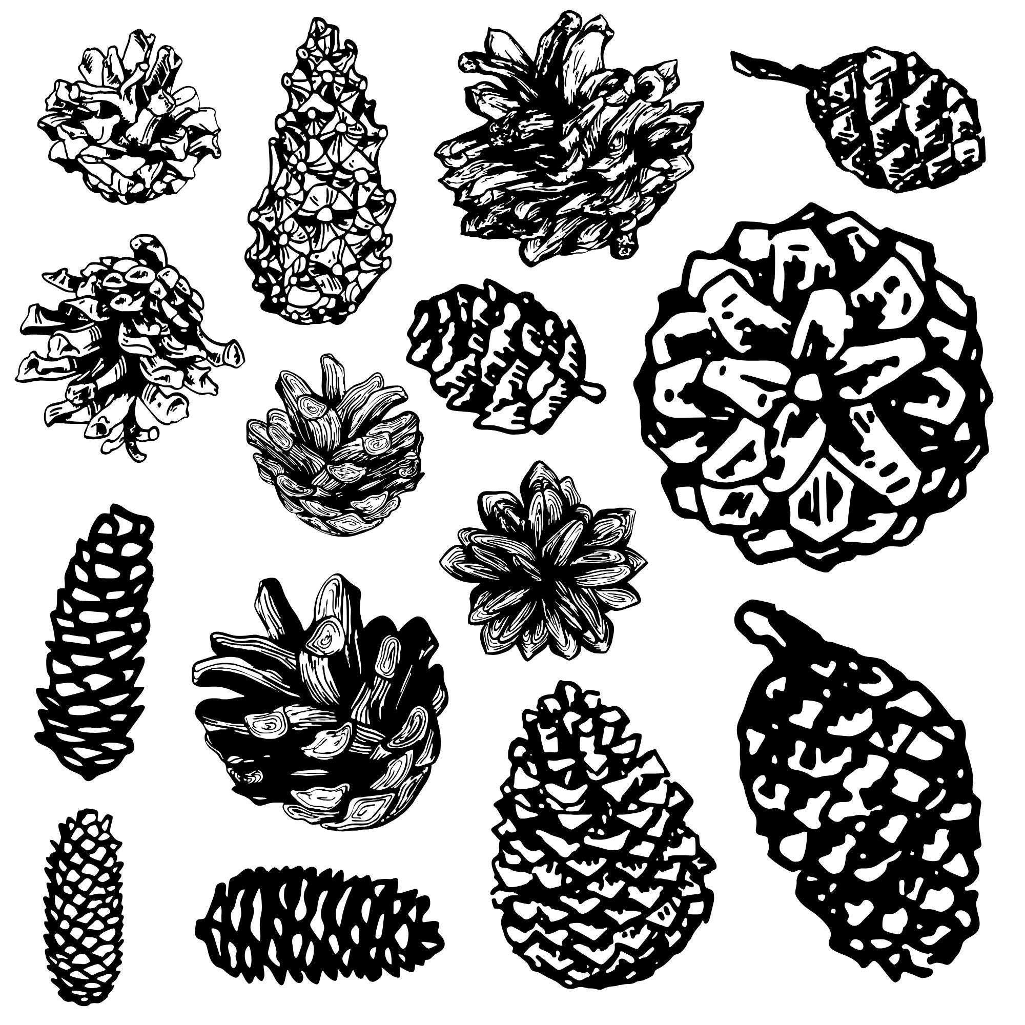 Pinecone Svg Bundle, Cone Clipart, Pine Tree Vector, Conifer Cone Decal ...