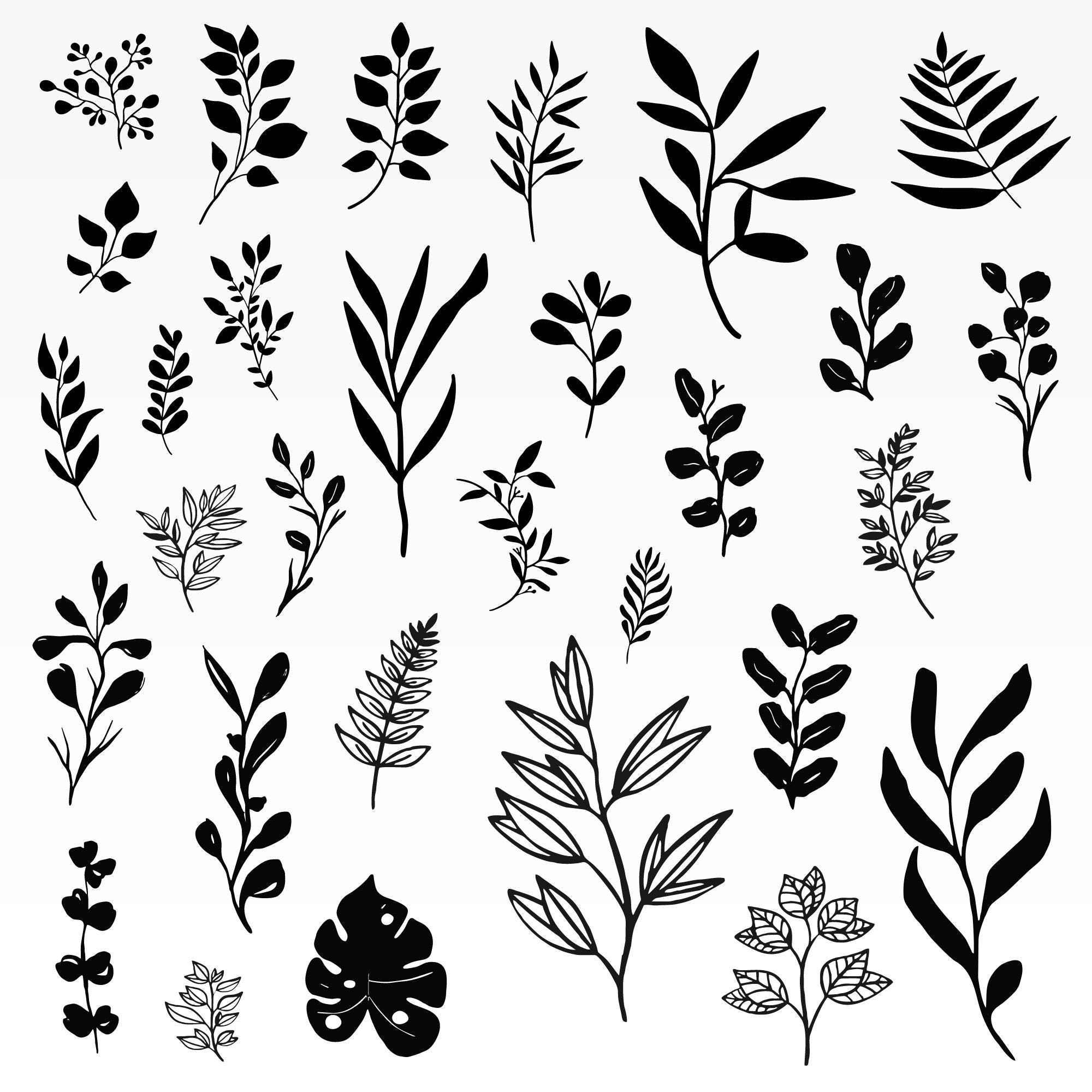 Botanical Leaves Svg Bundle, Botanical Leaves Clipart for Cricut ...
