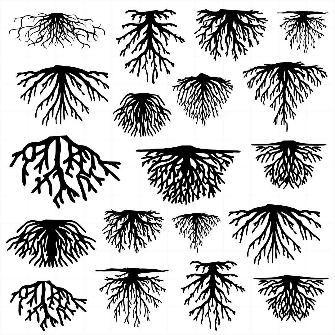 Tree Roots Svg Bundle, Roots Clipart, Roots Vector, Tree Roots Decal ...