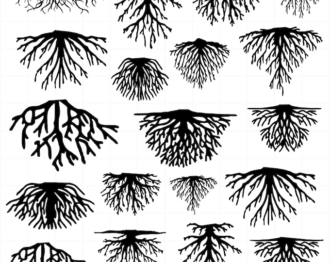 Root Svg, Roots Svg, Tree Roots Svg, Tree, Tree Lover, SVG, Ai, Pdf ...